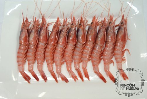 Comprar Marisco Cocido | Envíos en Menos de 24h