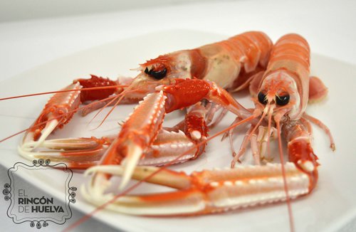 Cigalas siempre frescas| El Rincón de Huelva