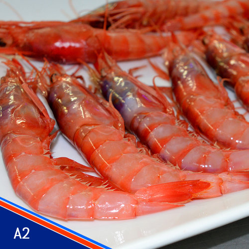 Comprar Marisco Online | El Mercado del Marisco - Envíos 24h