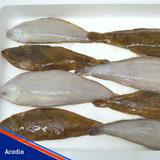 Comprar Marisco Online | El Mercado del Marisco - Envíos 24h